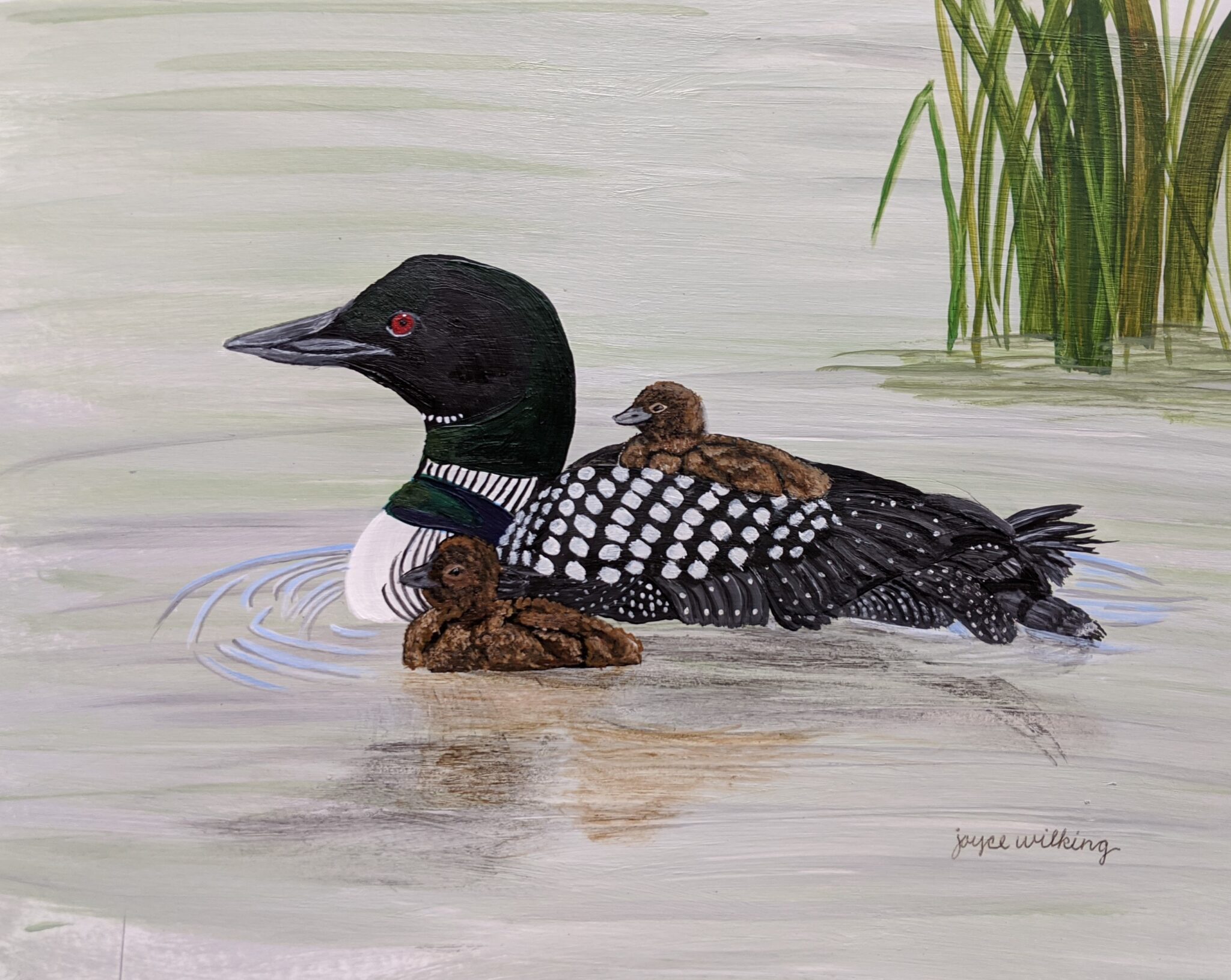 Local Artist Donates Print for Loon Event - Comfort Lake Forest Lake ...